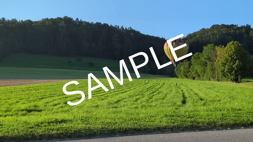 Examples | Online Watermarks